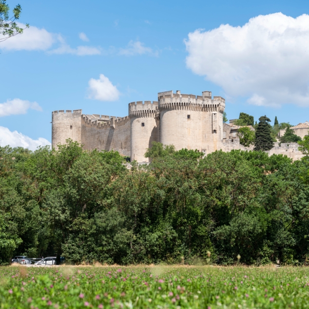 Welcome to Fort Saint-André in Villeneuve-Lez-Avignon